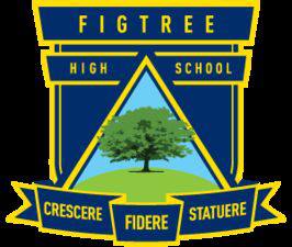 FIGTREE HIGH | Lost Wollongong